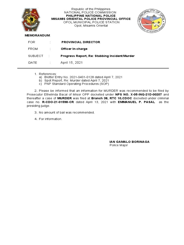 Progress Report - Murder | PDF