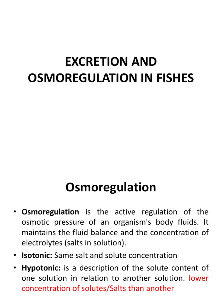 Excretion and Osmoregulation in Fishes | PDF | Physiology | Biology