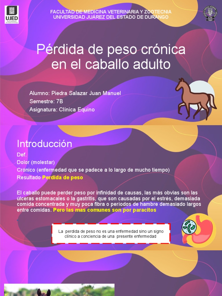 Pérdida de Peso Crónica en El Caballo Adulto | PDF | Digestión | Diabetes