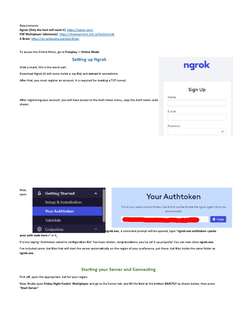 Setting Up Ngrok: Requirements | PDF | Computer File | Server (Computing)