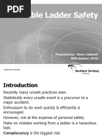 Glencore Coal Assets Australia Fatal Hazard Protocols Operations and ...