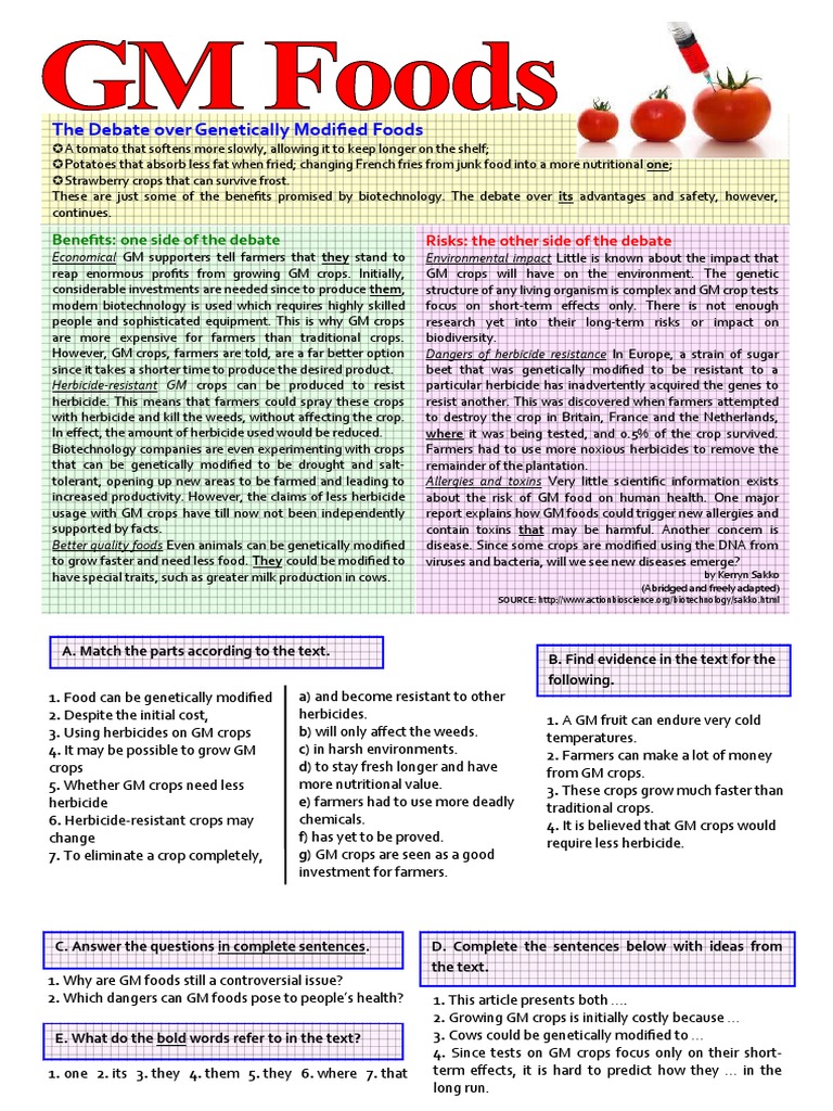 Gmo Worksheet | PDF | Genetic Engineering | Genetically Modified Crops