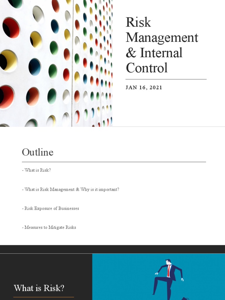 Risk Management Internal Control | PDF | Enterprise Risk Management | Risk