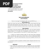 Contoh BAP Pidana | PDF