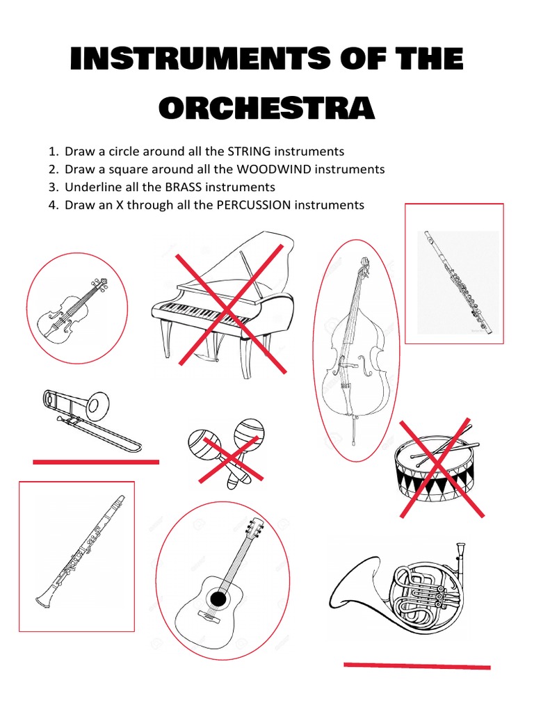 A Visual Guide to the Four Families of Orchestral Instruments | PDF