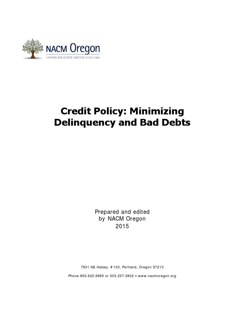 Credit Policy Sample637225320210415 | PDF | Policy | Credit