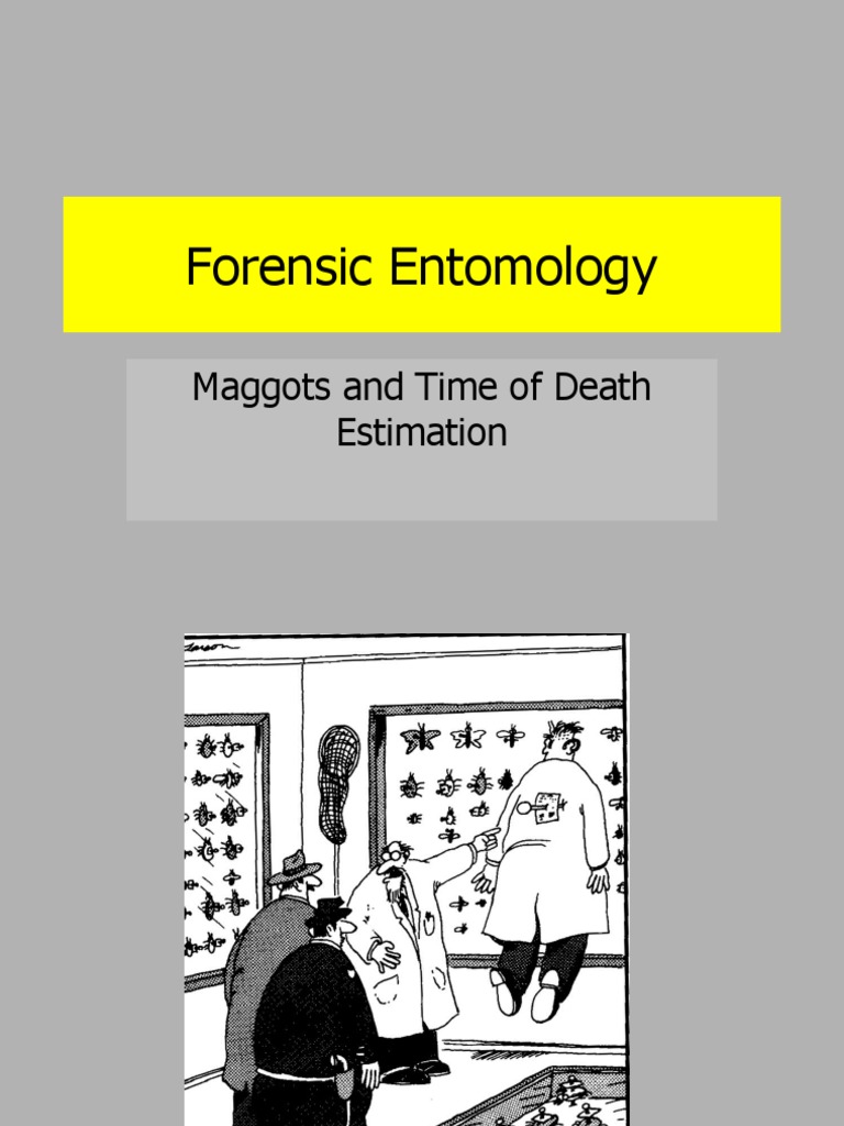 Introduction To Forensic Science Forensic Entomology | PDF ...
