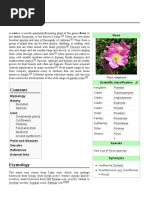 7 Most Beautiful Flowers in The World | PDF | Garden Plants ...