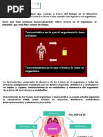 Toxicocinética y Toxicodinamia en Farmacia | PDF | Toxicidad | Excreción