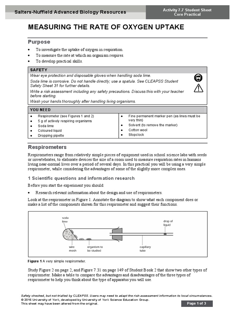 A Level Biology A Core Practical 16 - Rate of Respiration | PDF | Mean ...