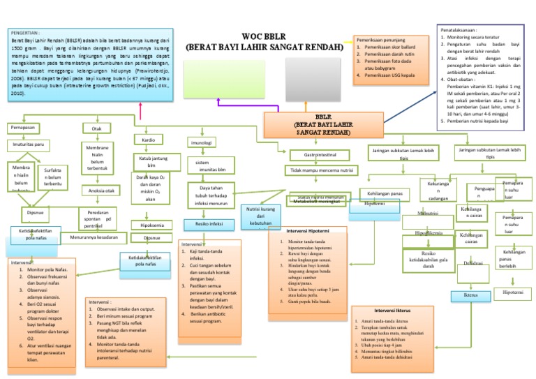 Woc BBLSR Aska | PDF