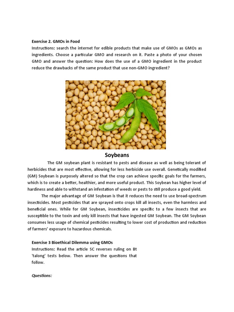Exercise 2. Gmos in Food: Soybeans | PDF | Genetically Modified ...