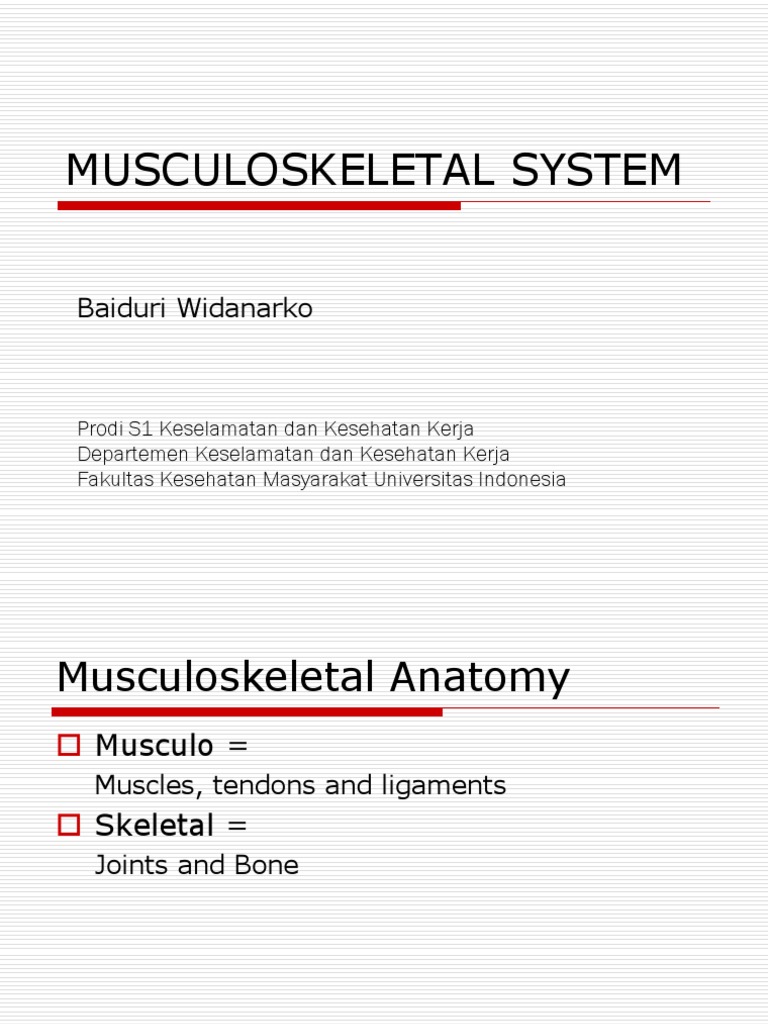 Musculoskeletal System | PDF | Human Musculoskeletal System | Muscle