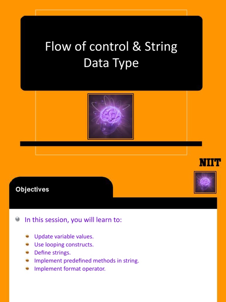 Looping Through Strings And Variables Exploring Flow Control And String Data Types In Python 