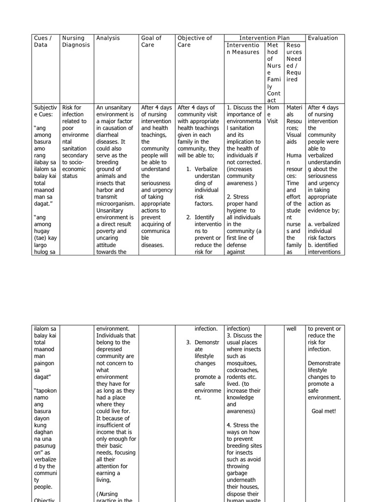 Infection Risk Nursing Care Plan | PDF | Infection | Sanitation