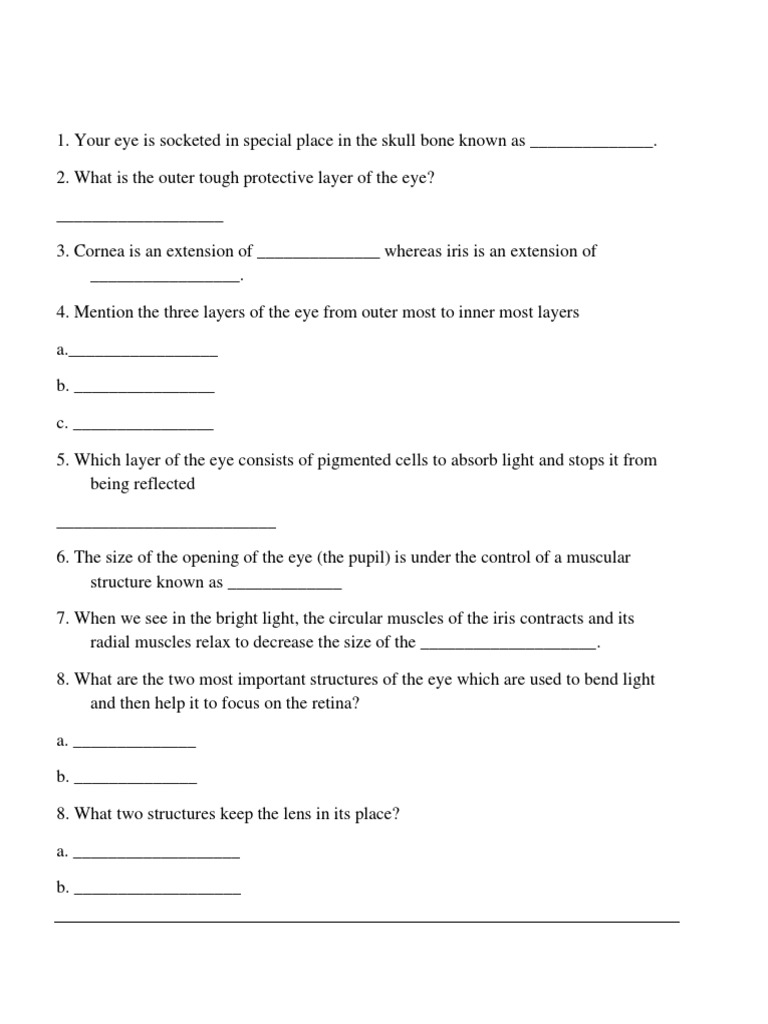 Eye and Ear Anatomy Worksheet | PDF | Eye | Ear