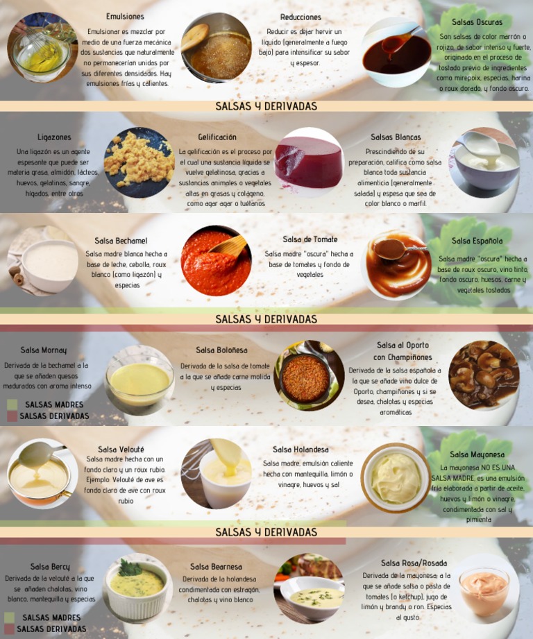 08 Salsas Madres y Derivadas | PDF | Salsa | Condimentos