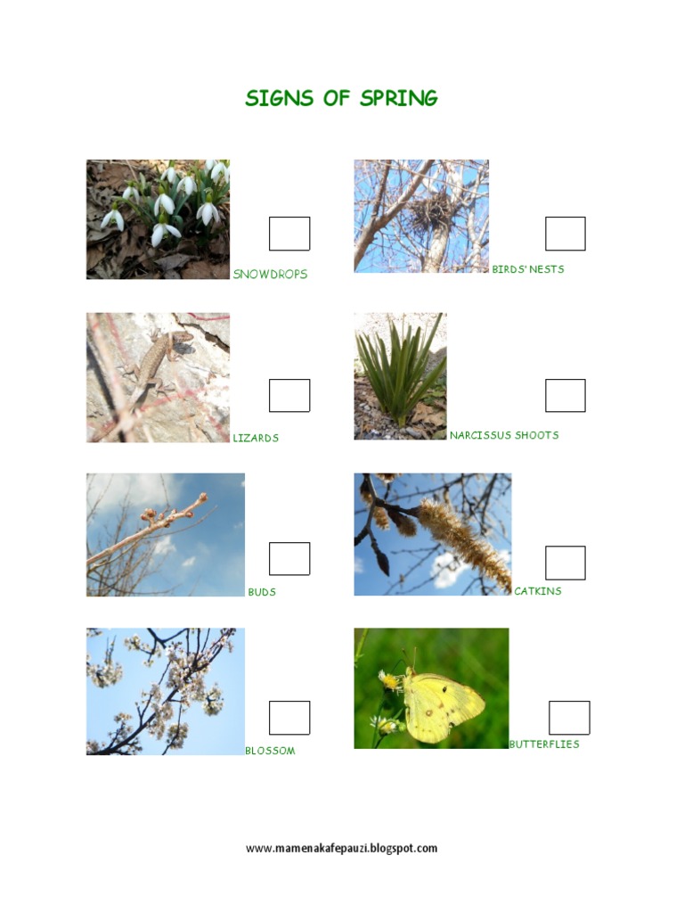 Signs of Spring: Nature's Awakening | PDF