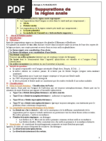 Anatomie des anses grêles et mésentère | PDF | Péritoine | Spécialités ...