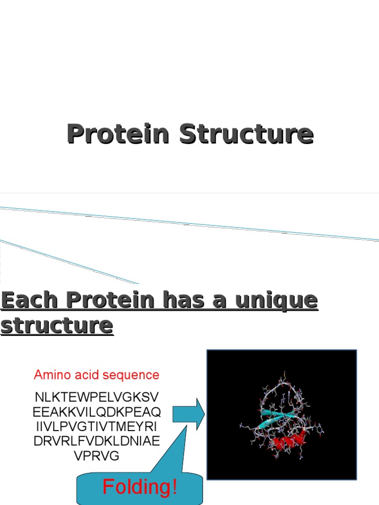 Protein | PDF | Biomolecular Structure | Proteins