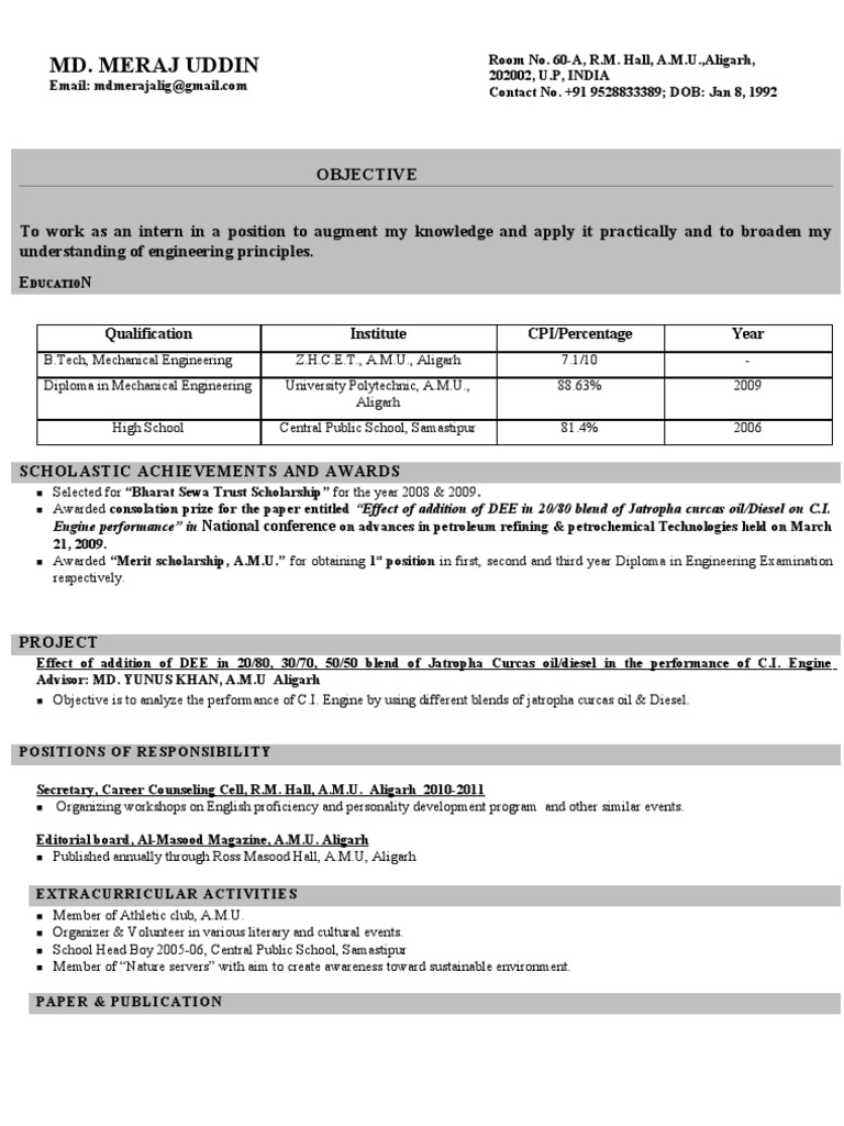 Meraj Resume | PDF | Engineering | Science And Technology