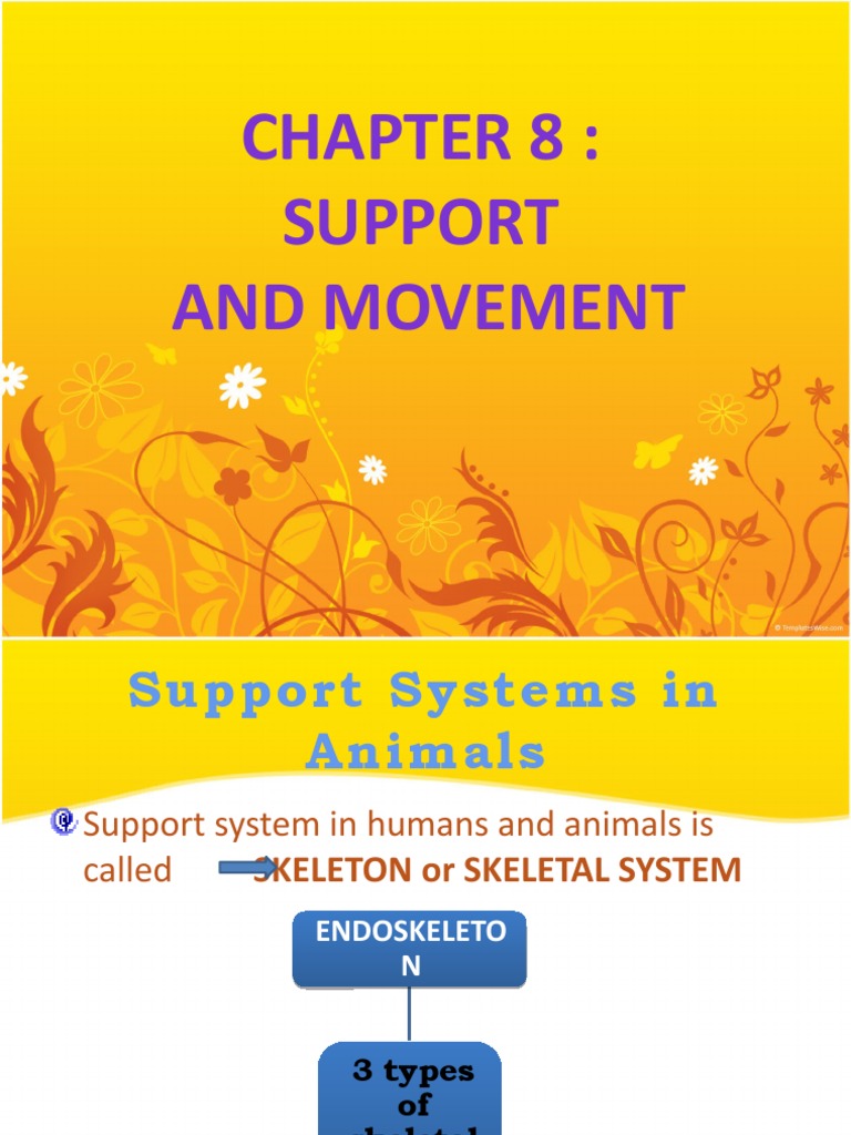 Support System in Animals and Plants | PDF | Skeleton | Zoology