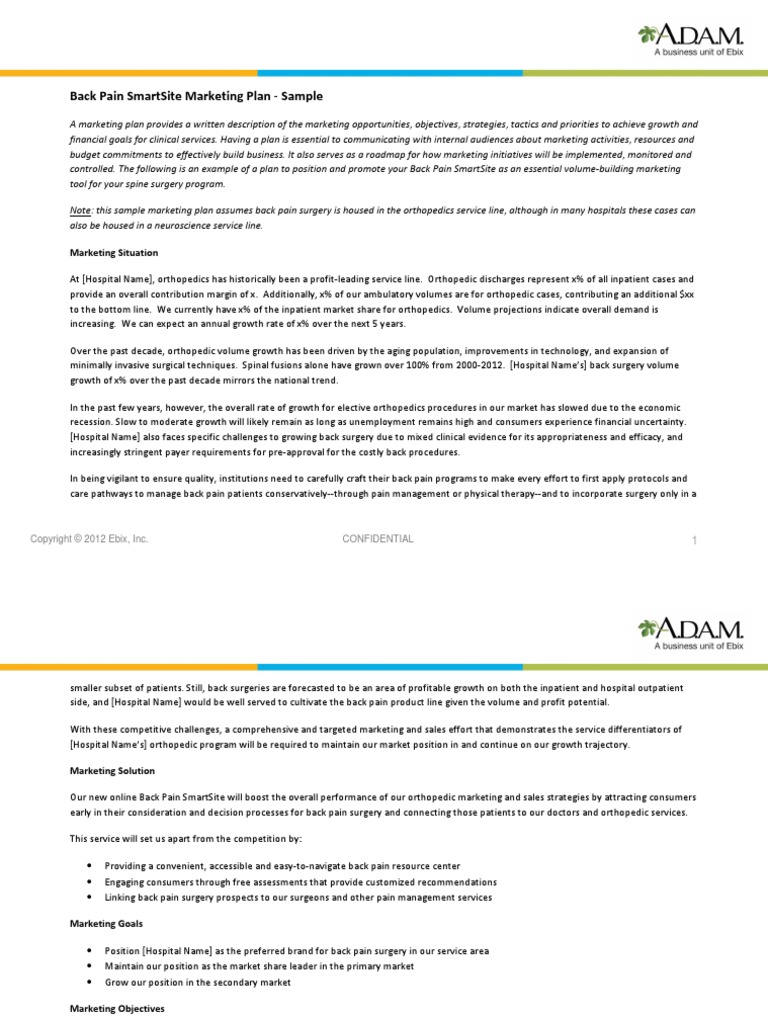 Back Pain Smartsite Marketing Plan - Sample | PDF | Hospital | Marketing