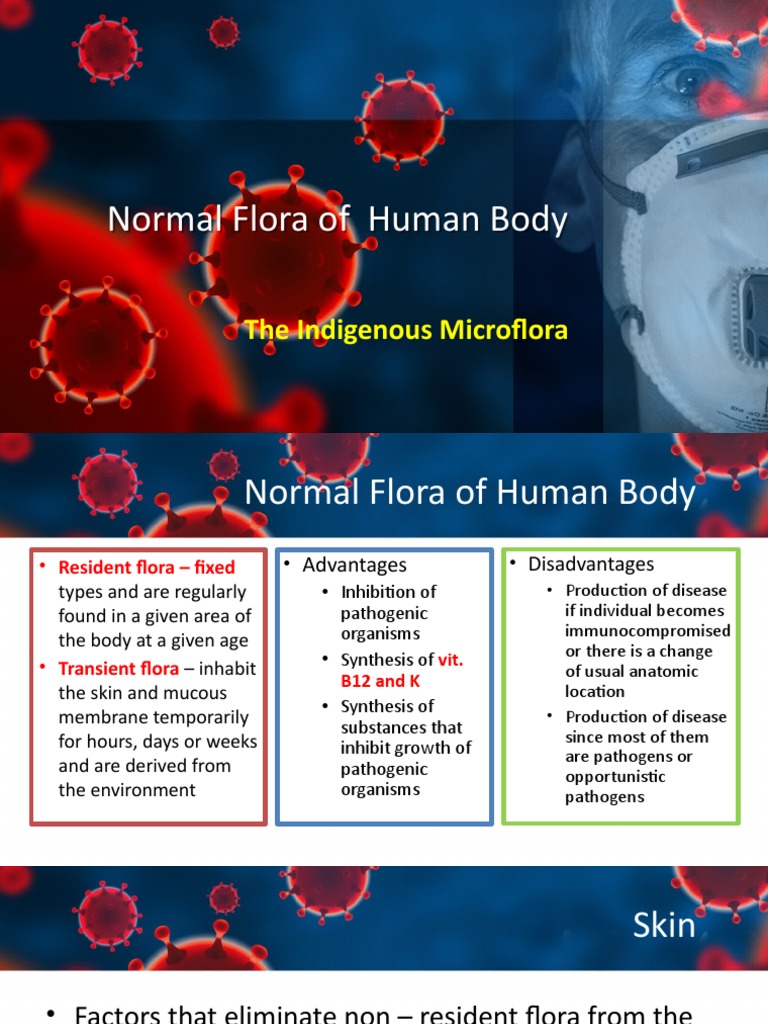 Normal Flora | PDF | Lactobacillus | Gastrointestinal Tract