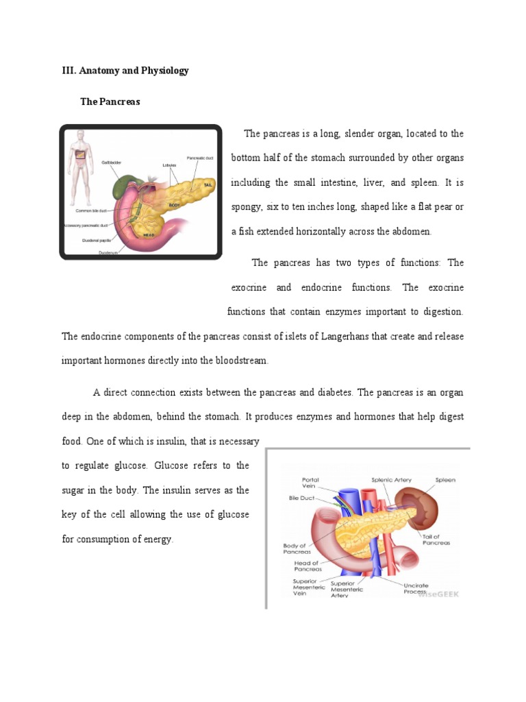 Anatomy and Physiology | PDF | Esophagus | Pancreas