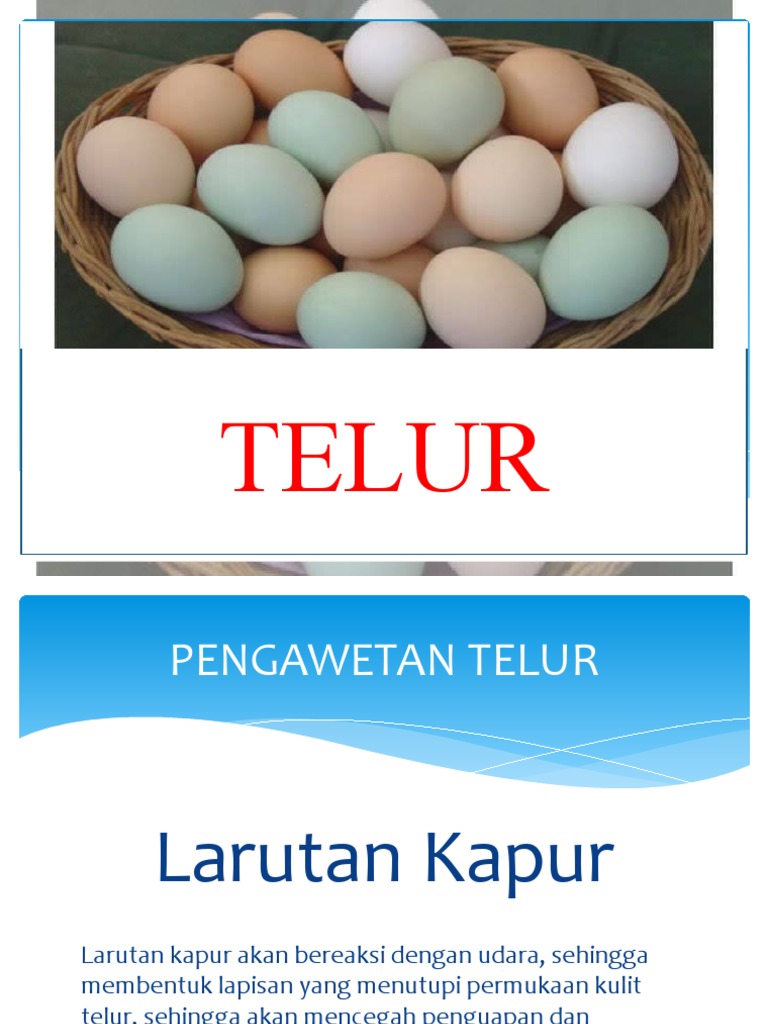 TELUR | PDF