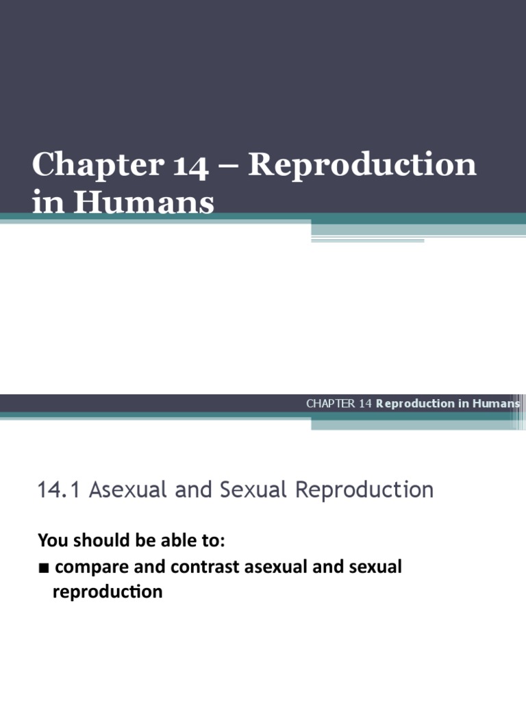 Chapter 14 - Reproduction in Humans | PDF | Sexual Reproduction ...