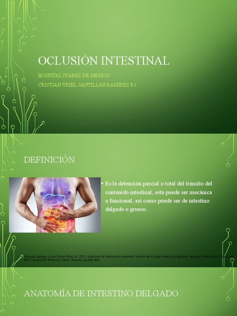 Oclusión Intestinal: Causas y Tratamiento | PDF | Intestino delgado ...