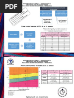 Estadios de Tanner | PDF | Etapas de la vida humana | Sexo