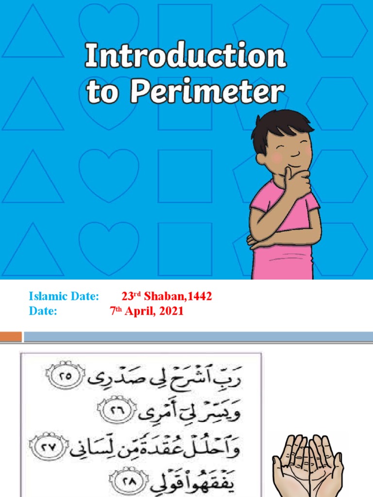 Understanding 2D Shapes & Perimeters | PDF | Length | Rectangle