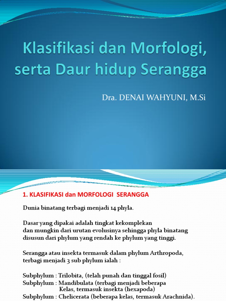 1.morf, Klsif, Daur Hid. Vektor | PDF | Kajian Bahasa Asing | Sains & Matematika