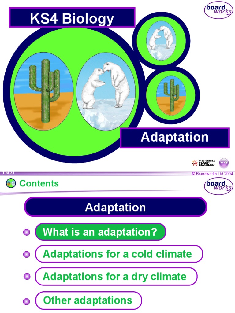 KS4 Biology: Adaptation | PDF | Camel | Adaptation