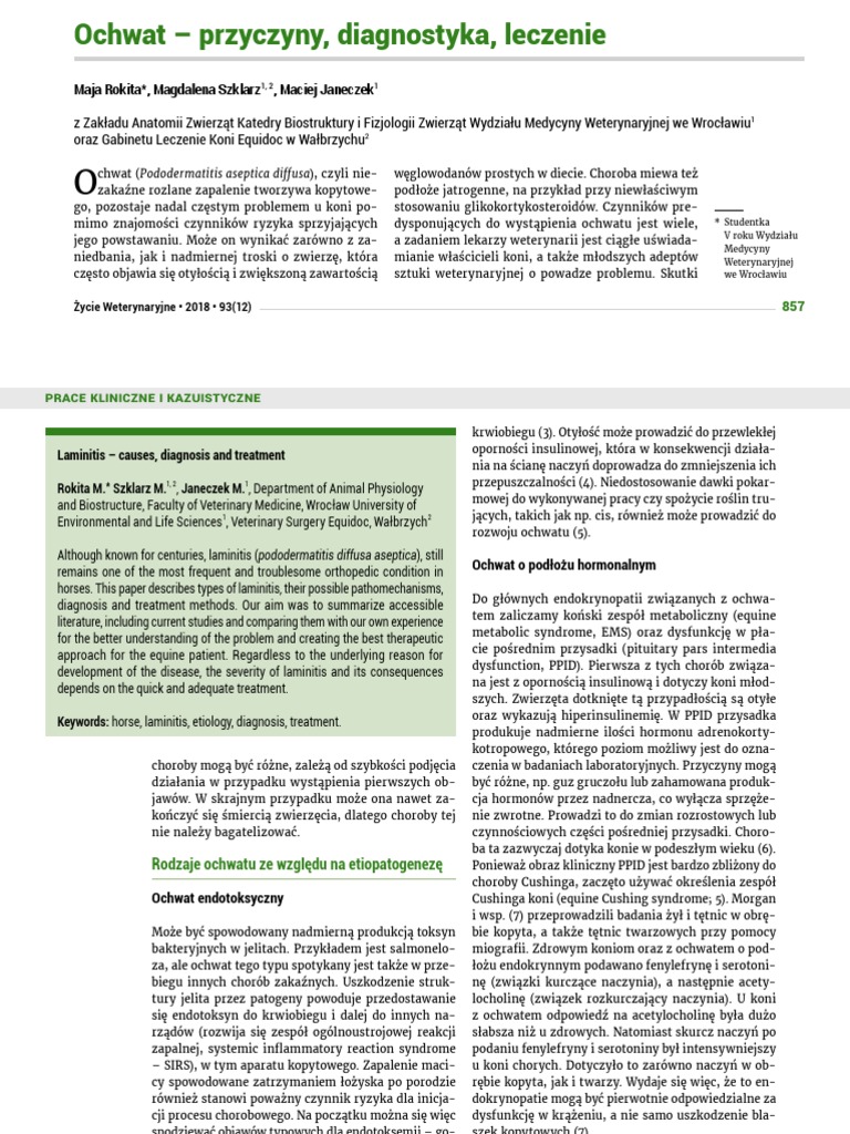 Ochwat | PDF