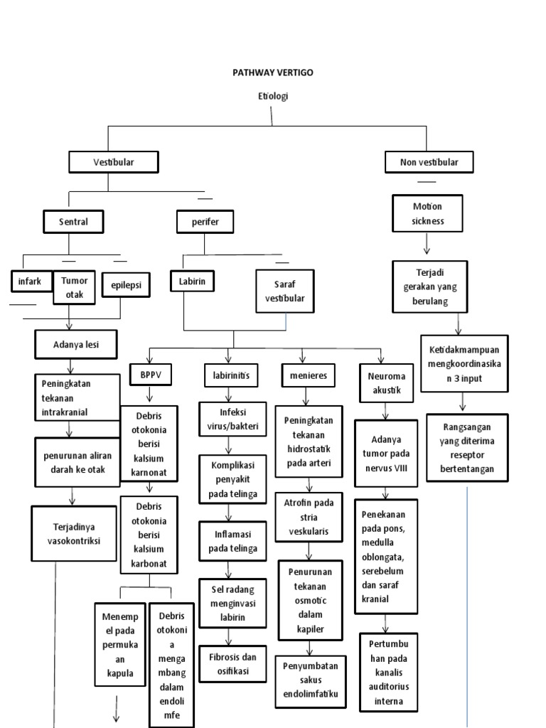 Pathway Vertigo 2 | PDF