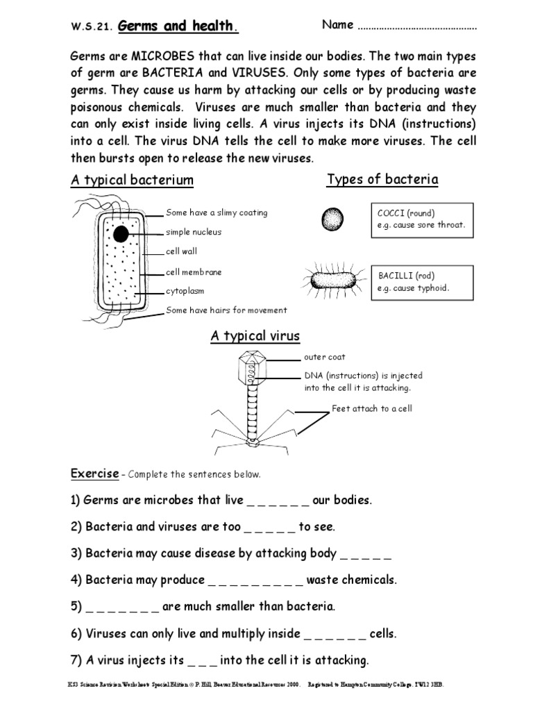Germs and Health.: Complete The Sentences Below | PDF | Bacteria ...