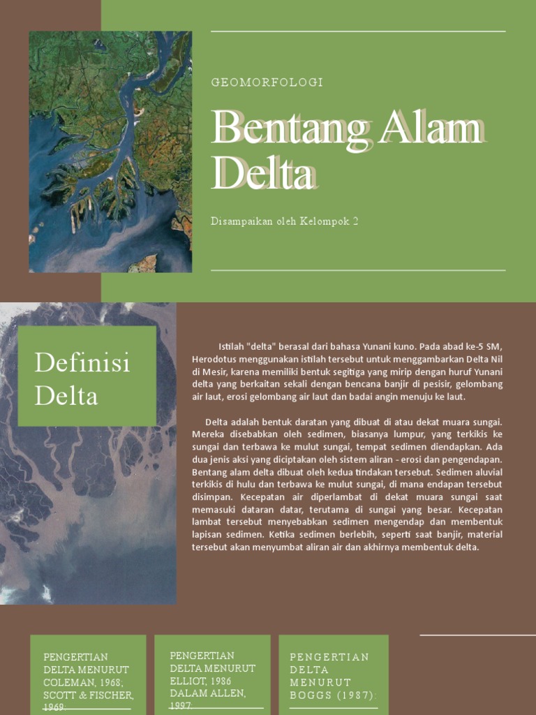 Morfologi Delta | PDF