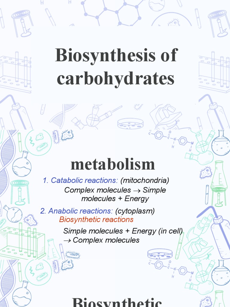 Carbohydrate Biosynthesis Overview | PDF | Metabolic Pathway | Pyruvic Acid