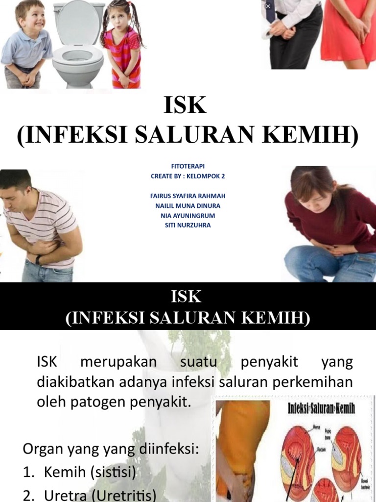 ISK Kelompok 2 | PDF