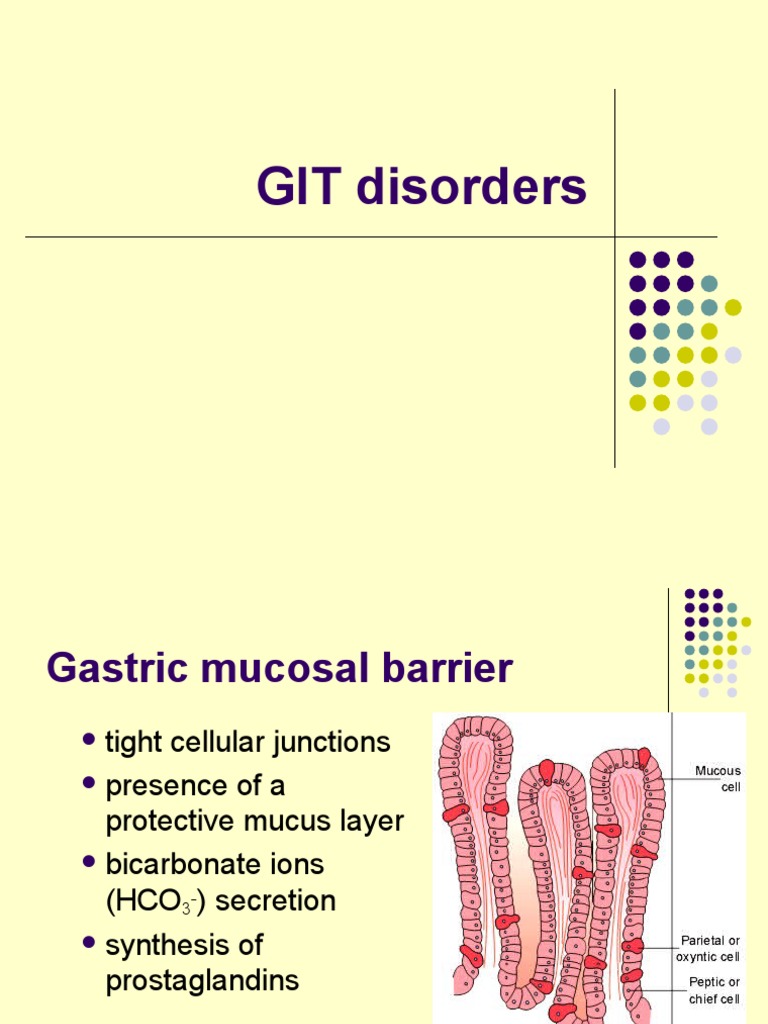 14-GIT and Liver | PDF | Liver | Diseases And Disorders