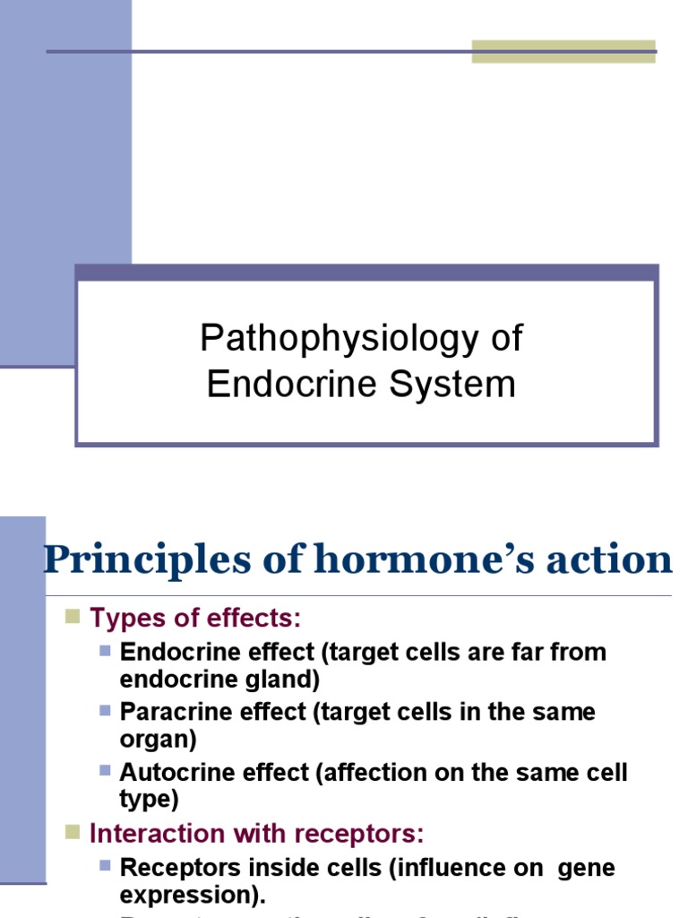 Pathophysiology of Endocrine System | PDF | Endocrine System | Thyroid ...