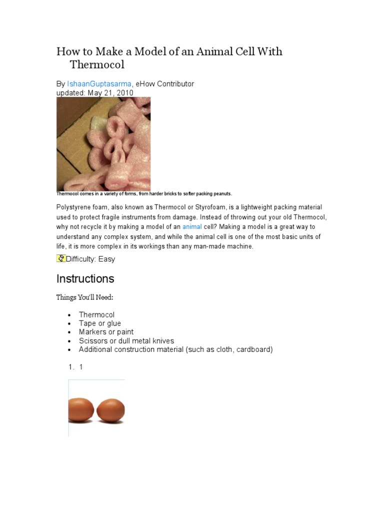 How To Make A Model of An Animal Cell With Thermocol | PDF ...
