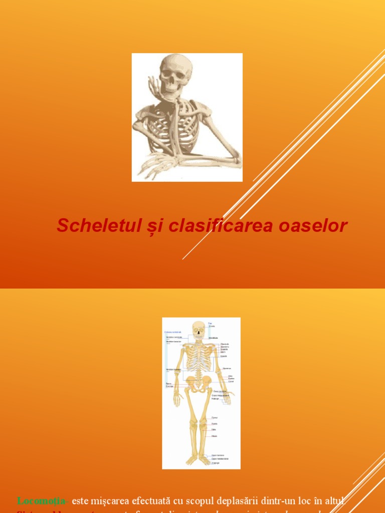 Oasele | PDF