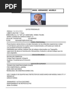 0 - CV Topografo Henry | PDF