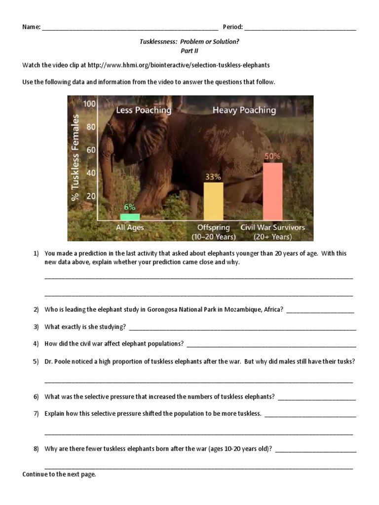 Tusklessness: Problem or Solution? | PDF | Elephant