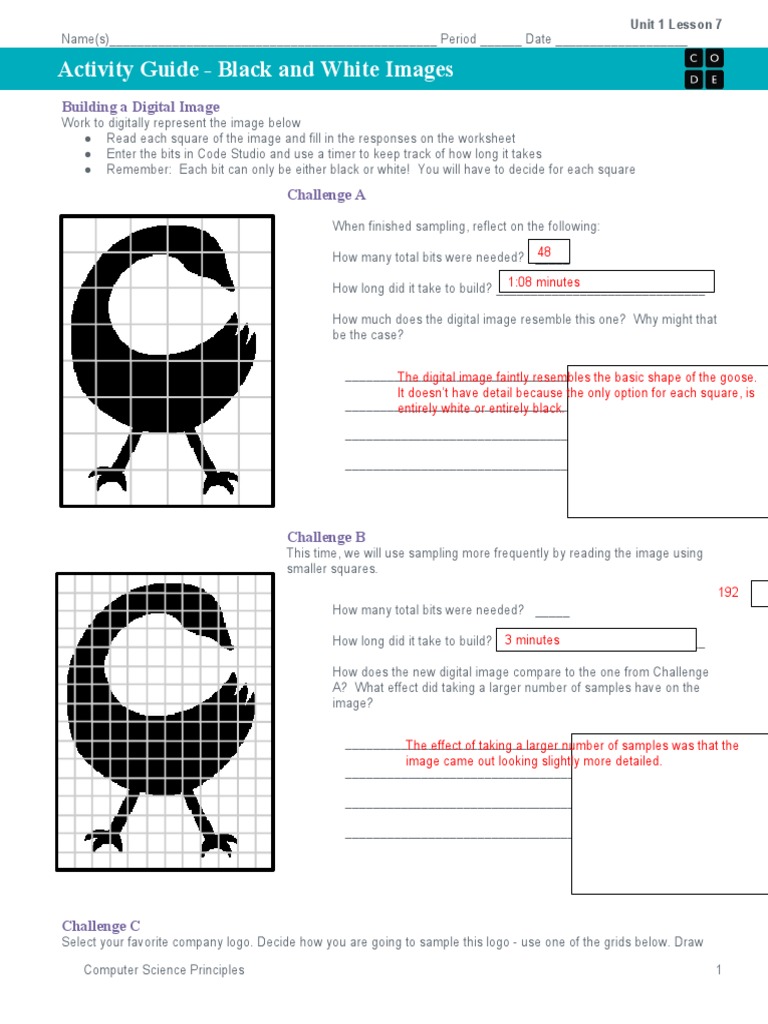 Activity Guide - Black and White Images - Unit 1 Lesson 7 | PDF | Bit ...