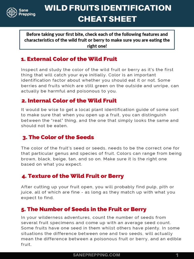 Wild Fruits Identification Cheatsheet | PDF | Berry | Seed